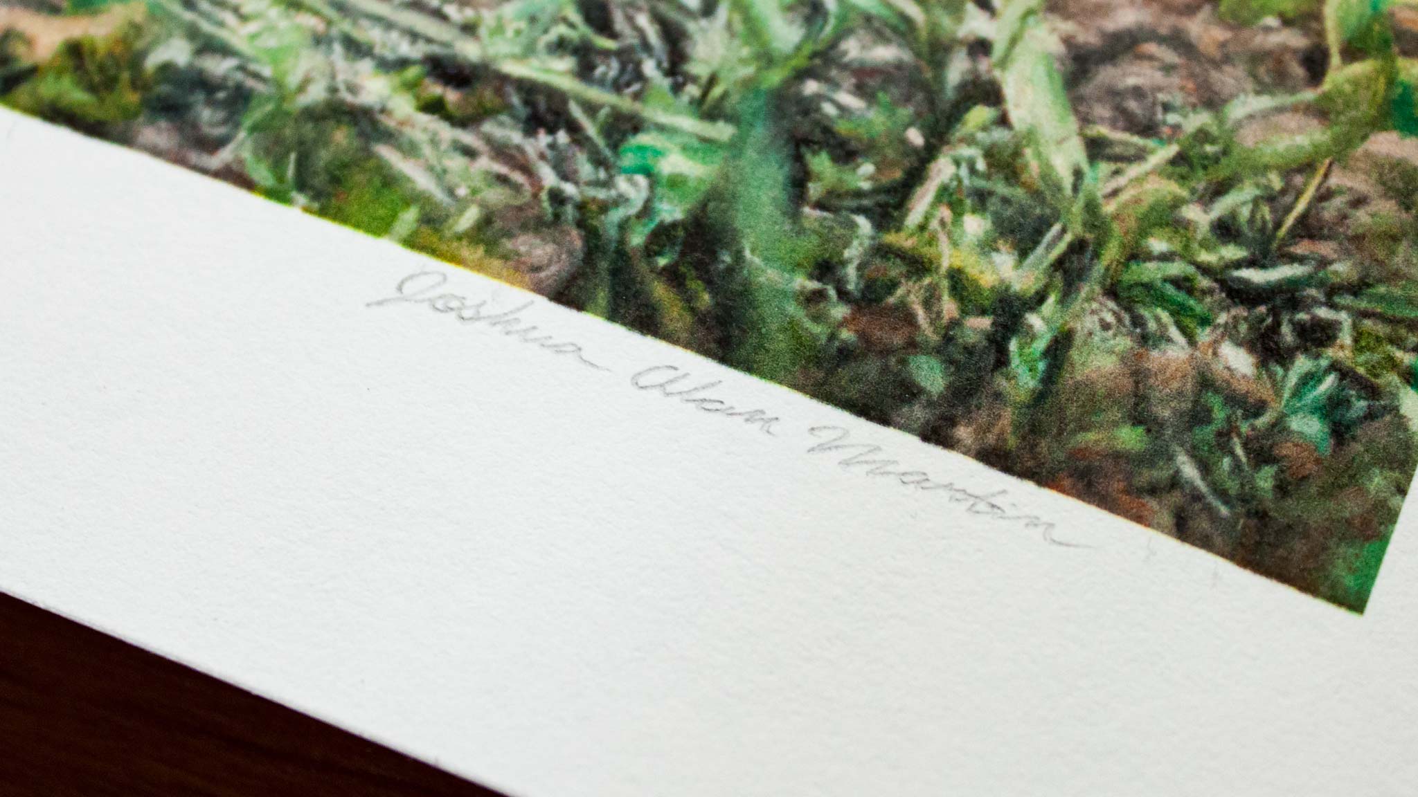 Limited Edition Prints – Joshua Martin Art