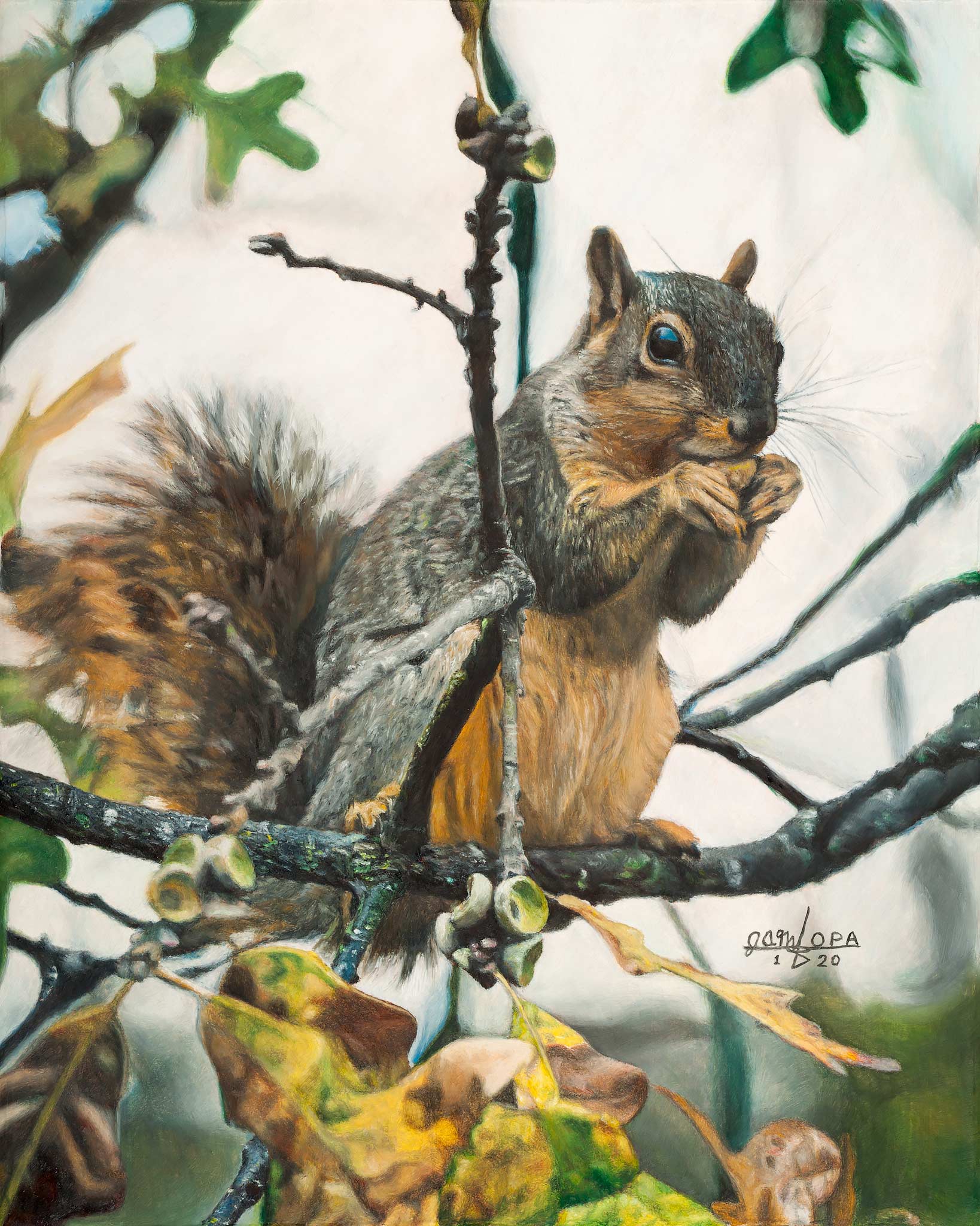 Squirrel in Tree – Joshua Martin Art